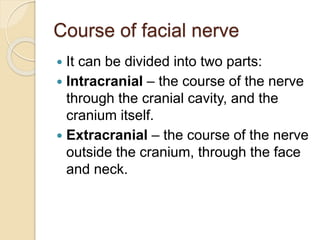 facial nerve seminar.pptx