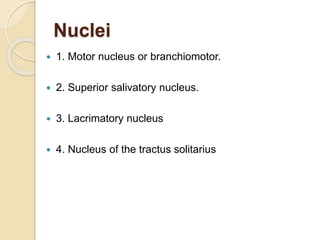 facial nerve seminar.pptx