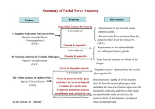 Facial Nerve Summary | PPT