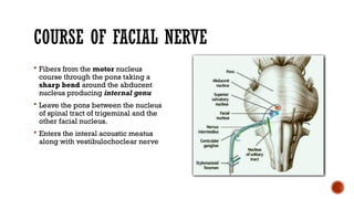 facial nerve Anatomy and leison and investigationspptx | PPTX