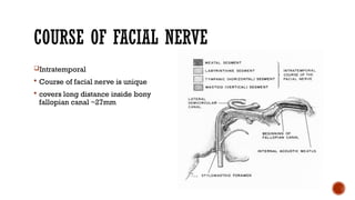 facial nerve Anatomy and leison and investigationspptx | PPTX