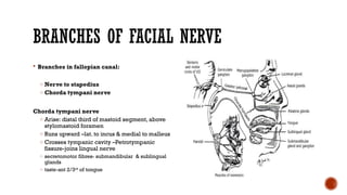 facial nerve Anatomy and leison and investigationspptx | PPTX