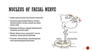 facial nerve Anatomy and leison and investigationspptx | PPTX