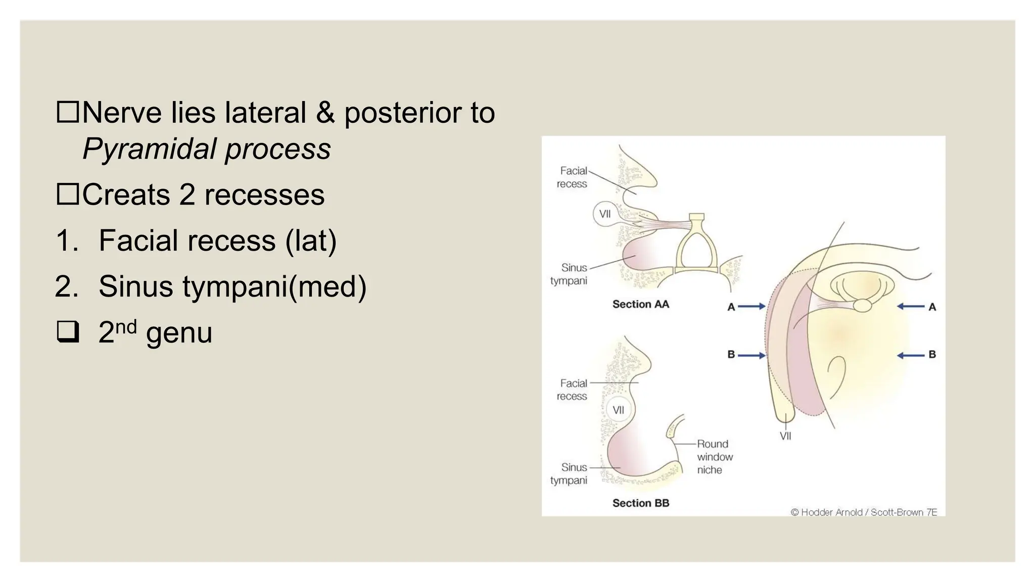 7TH CRANIAL NERVE ANATOMY COURSE AND FUNCTIONS | PPTX
