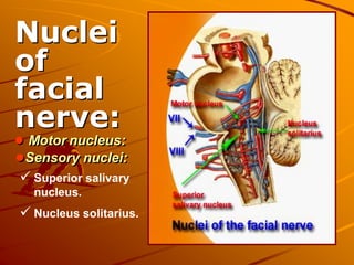 Facial paralysis | PPT