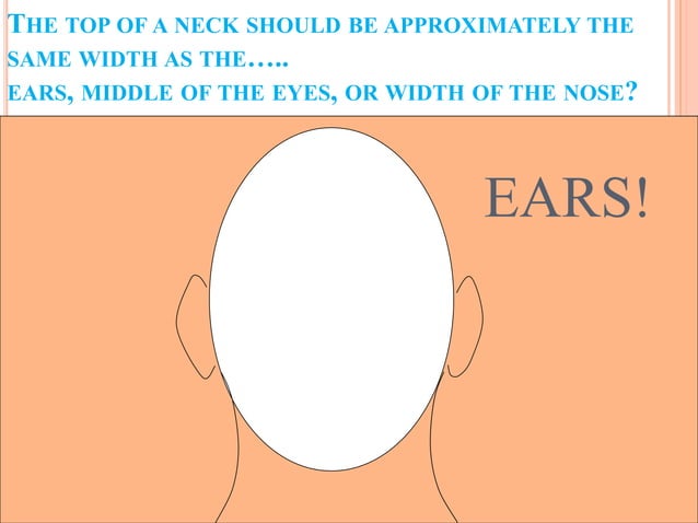 AHSArt: The Human Facial Proportions | PPT