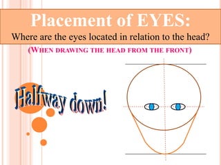 AHSArt: The Human Facial Proportions | PPTX | Ear, Nose and Throat ...