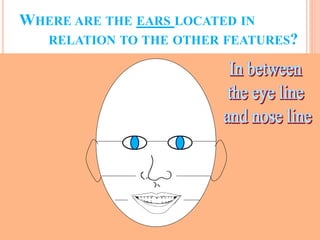 AHSArt: The Human Facial Proportions | PPTX | Ear, Nose and Throat ...