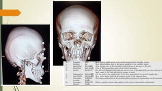 Facial Reconstruction_Final.pptx