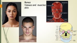 Facial Reconstruction_Final.pptx