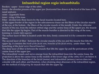 Facial region of Head by Adiev and Shaikh Masood.pptx