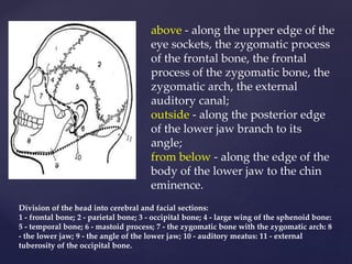 Facial region of Head by Adiev and Shaikh Masood.pptx