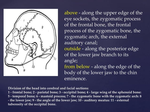 Facial region of Head by Adiev and Shaikh Masood.pptx