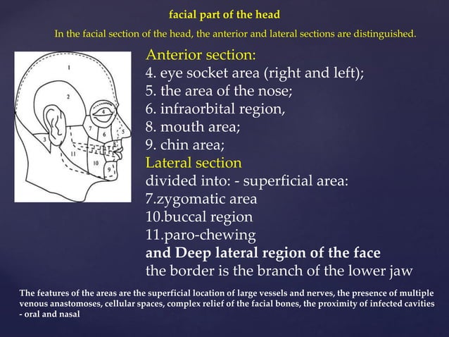 Facial region of Head by Adiev and Shaikh Masood.pptx