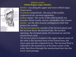 Facial region of Head by Adiev and Shaikh Masood.pptx