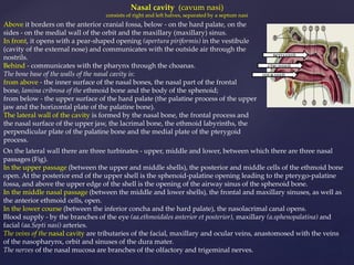 Facial region of Head by Adiev and Shaikh Masood.pptx