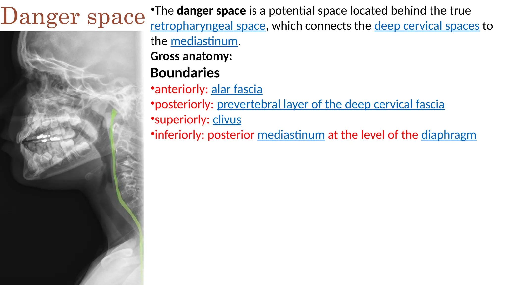 Facial Spaces and Odontogenic infections of head 2nd yr.pptx