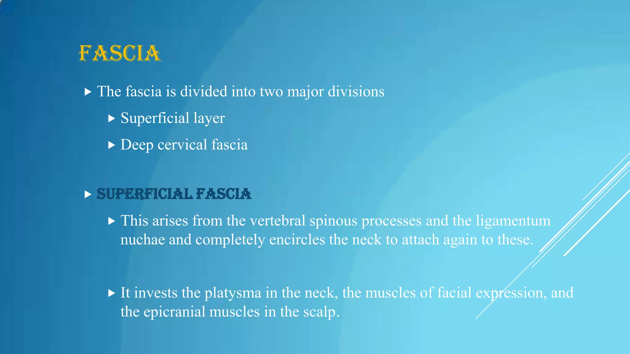 Facial spaces of periodontal interest. | PPTX