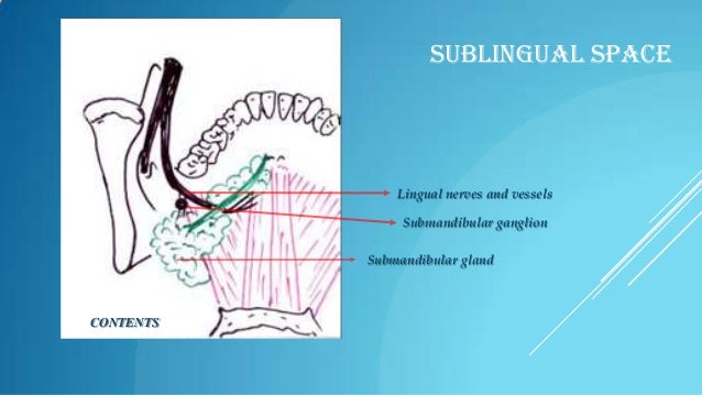 Sublingual Space