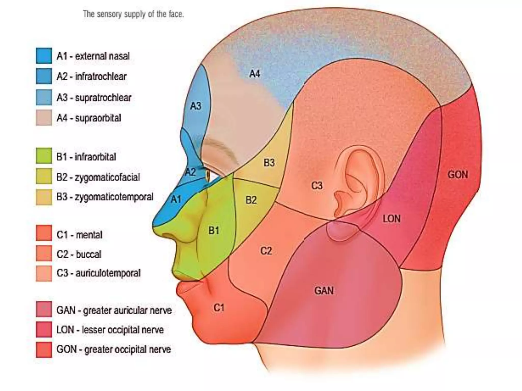 Facial trauma | PPTX