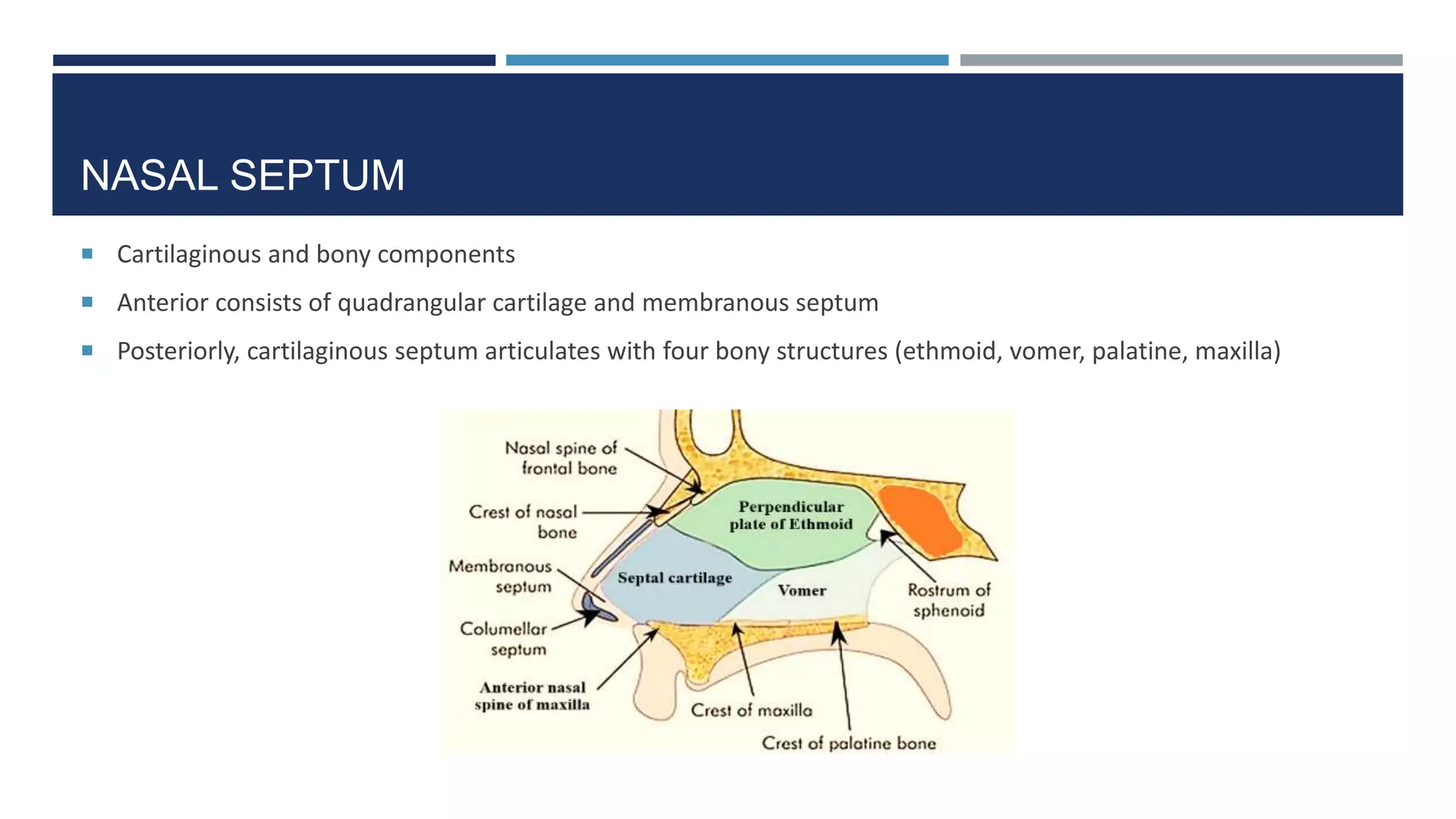 Nasal Bone Fractures.pptx