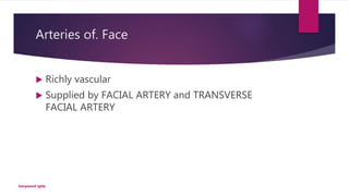 Facial vessels ppt (2) | PPT