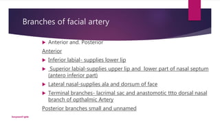 Facial vessels ppt (2) | PPT