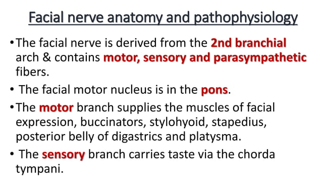 Facial weakness.pptx | Ear, Nose and Throat Conditions | Diseases and ...