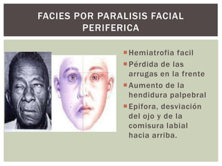 Facies | PPTX