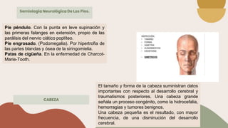 FACIES - MARCHA-NERVIOS CATEDRA DE SEMIOLOÍA | PPTX