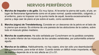 FACIES - MARCHA-NERVIOS CATEDRA DE SEMIOLOÍA | PPTX