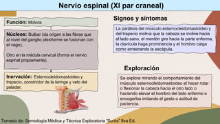 FACIES - MARCHA-NERVIOS CATEDRA DE SEMIOLOÍA | PPTX