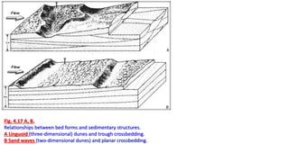 Facies Analysis and Sequence Stratigraphy.pptx
