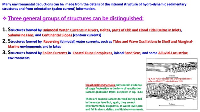 Facies Analysis and Sequence Stratigraphy.pptx | Geology | Science