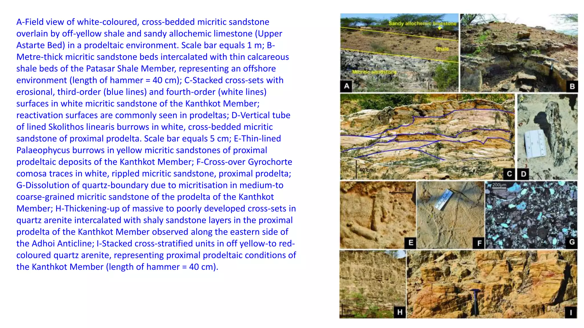Facies characterisation of a shallow-water deltaic succession.pptx
