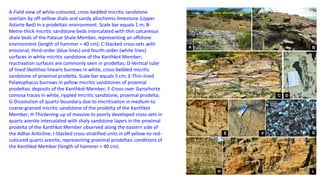 Facies characterisation of a shallow-water deltaic succession.pptx