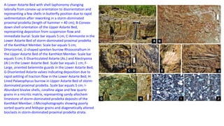 Facies characterisation of a shallow-water deltaic succession.pptx