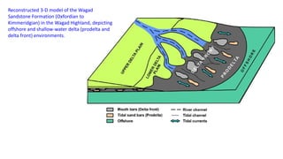 Facies characterisation of a shallow-water deltaic succession.pptx