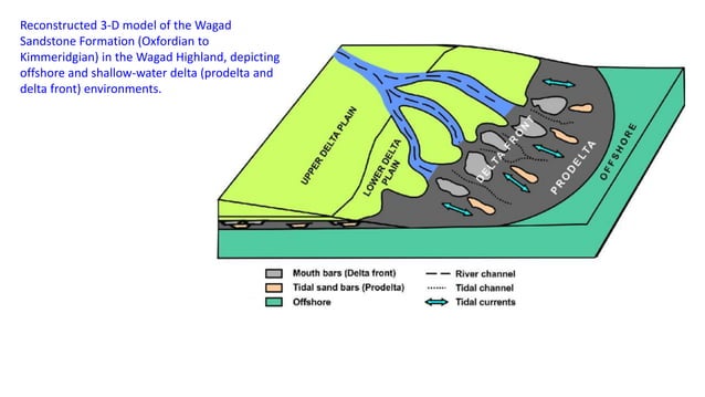 Facies characterisation of a shallow-water deltaic succession.pptx
