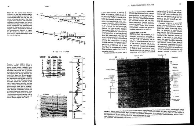 Facies models | PDF