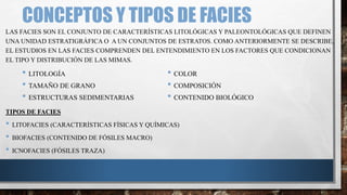 Facies y asociaciones de facies | PPTX