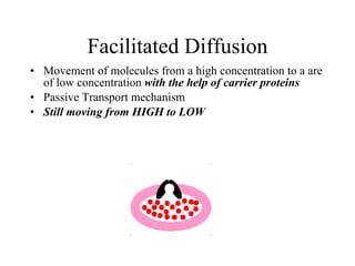 Facilitated Diffusion Examples