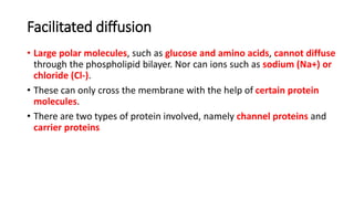 Facilitated diffusion.pptx