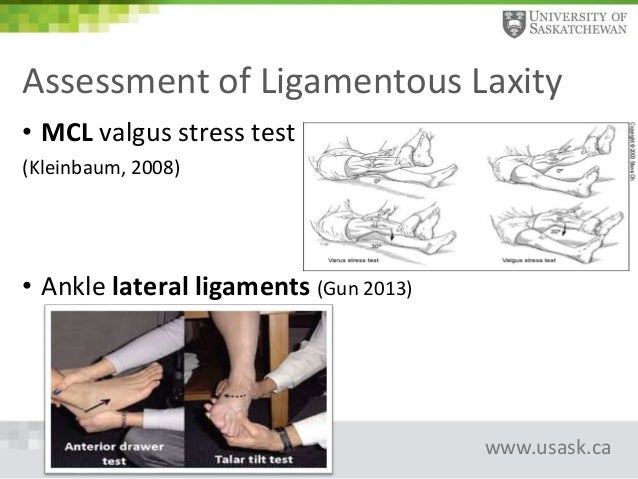Facilitated MSK US examination