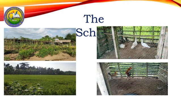 Facilitate learning Session_ Delivery Learning Session Demonstration ...