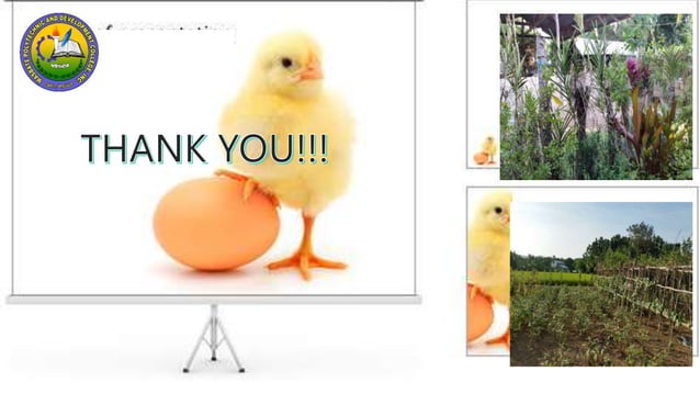 Facilitate learning Session_ Delivery Learning Session Demonstration ...