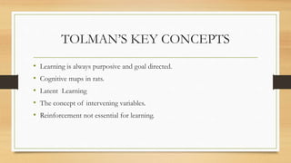 FACILITATING AND LEARNING REPORT.pptx