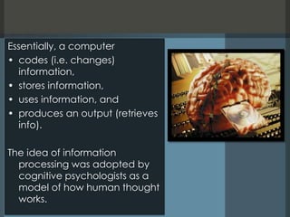 Cognitive Psychology and information Processing | PPTX