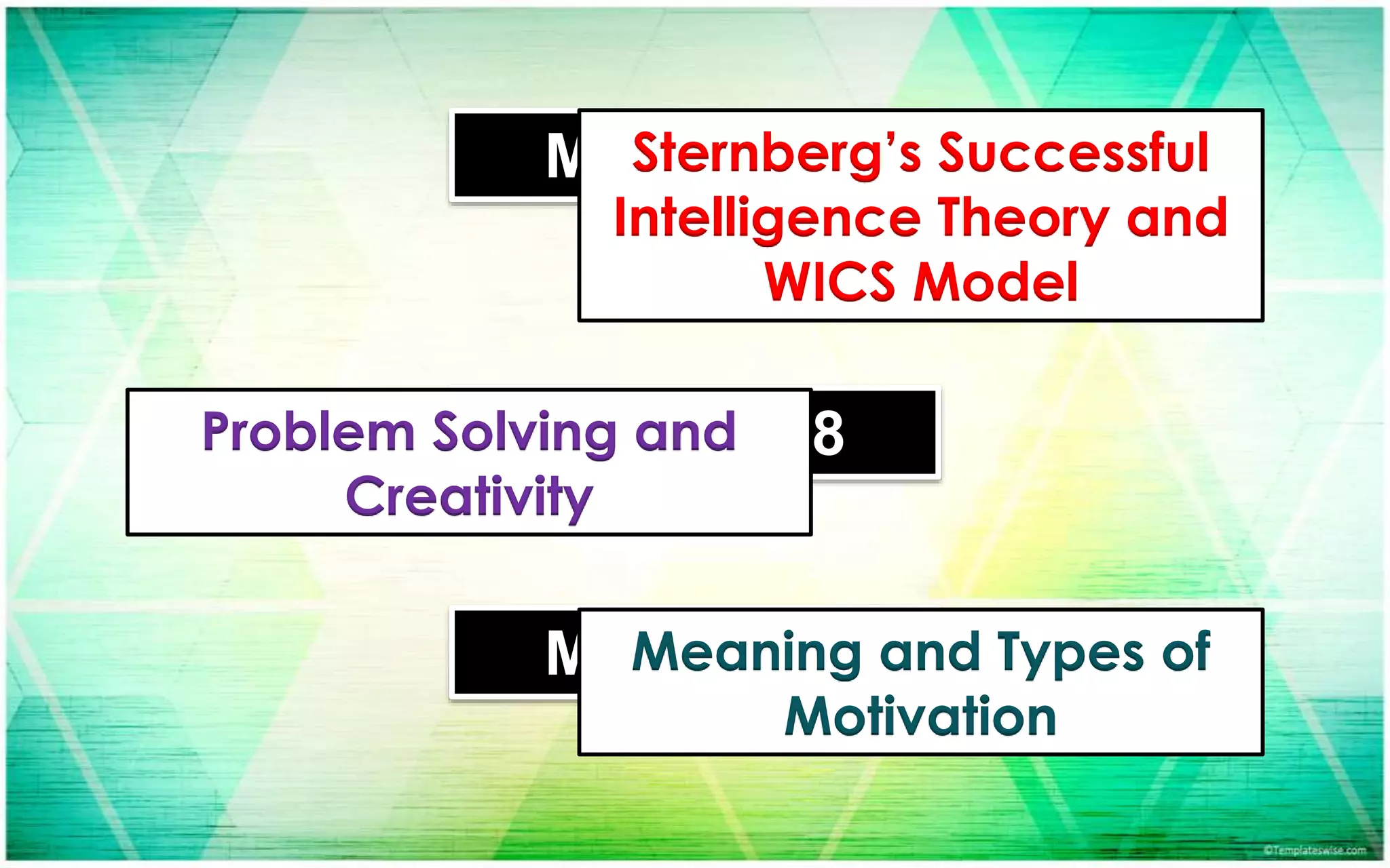 Sternberg’s Successful Intelligence Theory and WICS Model, Problem ...