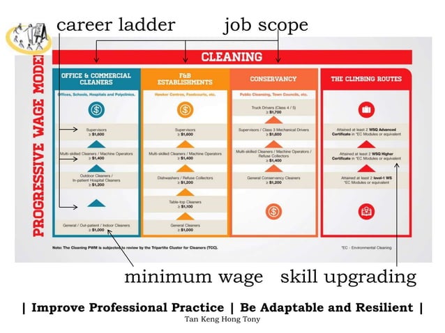 Career Progression Pathway | PPTX